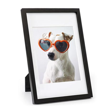 Sign Up with Snapfish | Free Snapfish Account | Create a Snapfish ...