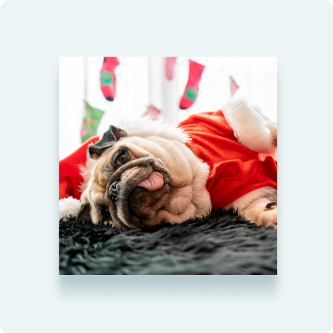 Home Decor | Photo Wall Art | Metal & Acrylic Prints | Snapfish