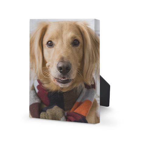 Custom Canvas Prints | Photo Wall Art | Snapfish